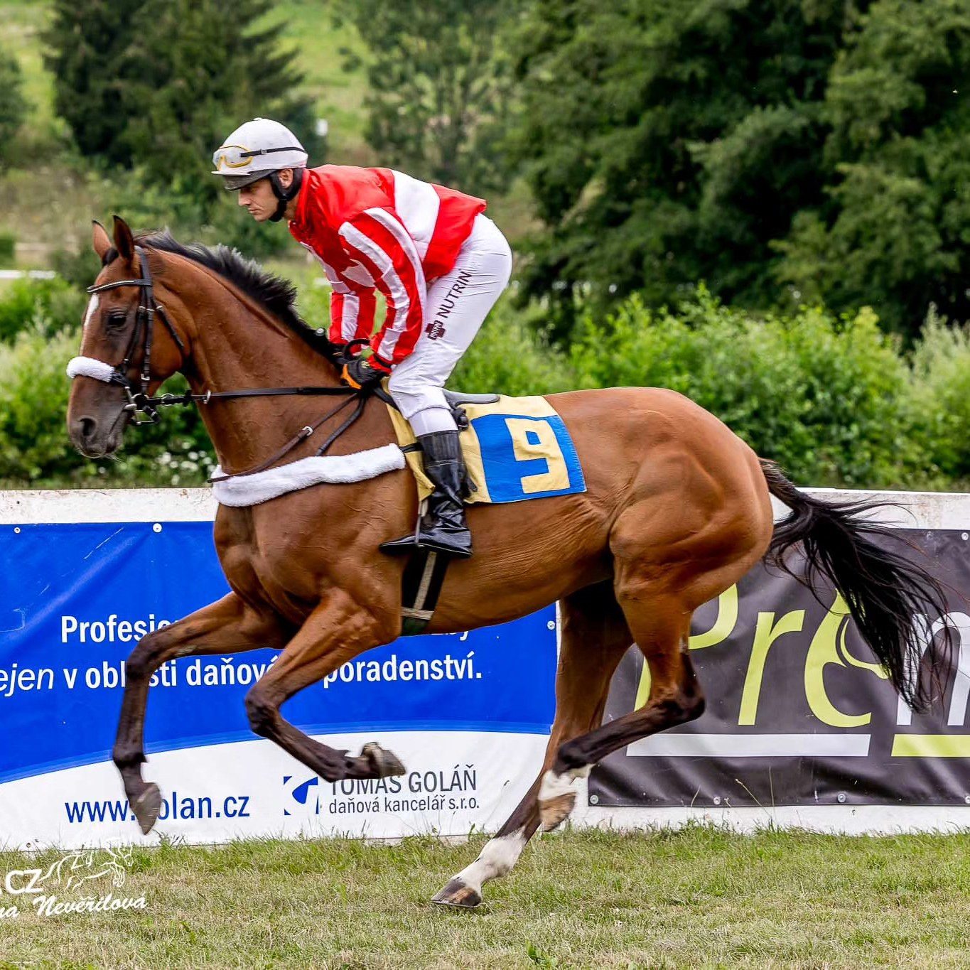 Adam Ćmiel trzeci w Wielkiej Pardubickiej. Historyczny sukces dżokeja z ...
